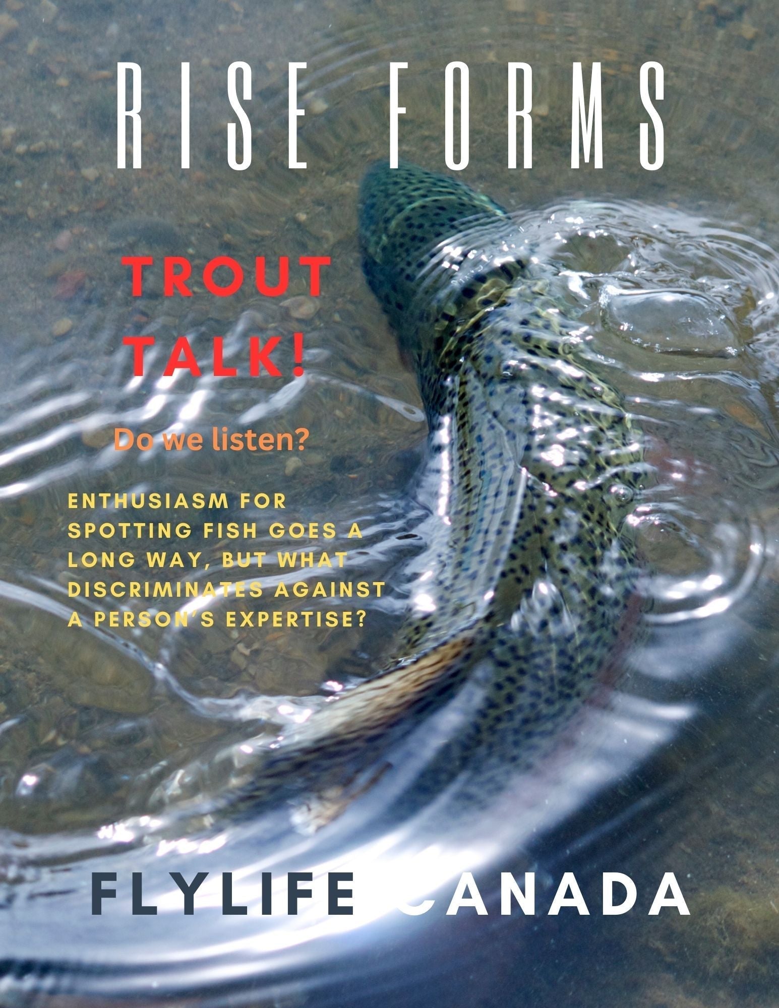 Flylife Canada - Fly Tying, Fly Fishing, Euro Nymphing – FLYLIFE CANADA