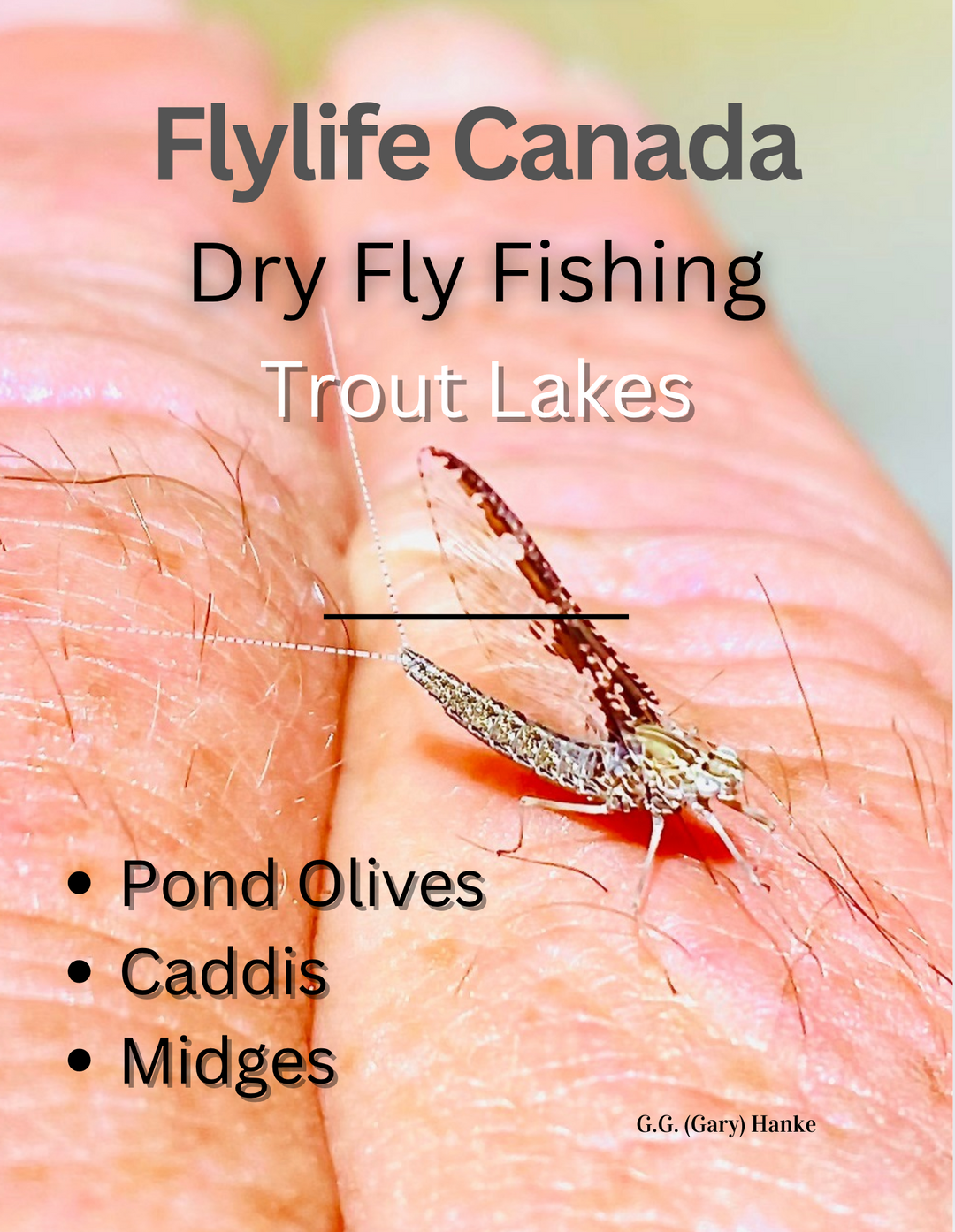 Flylife Canada - Fly Tying, Fly Fishing, Euro Nymphing – FLYLIFE CANADA